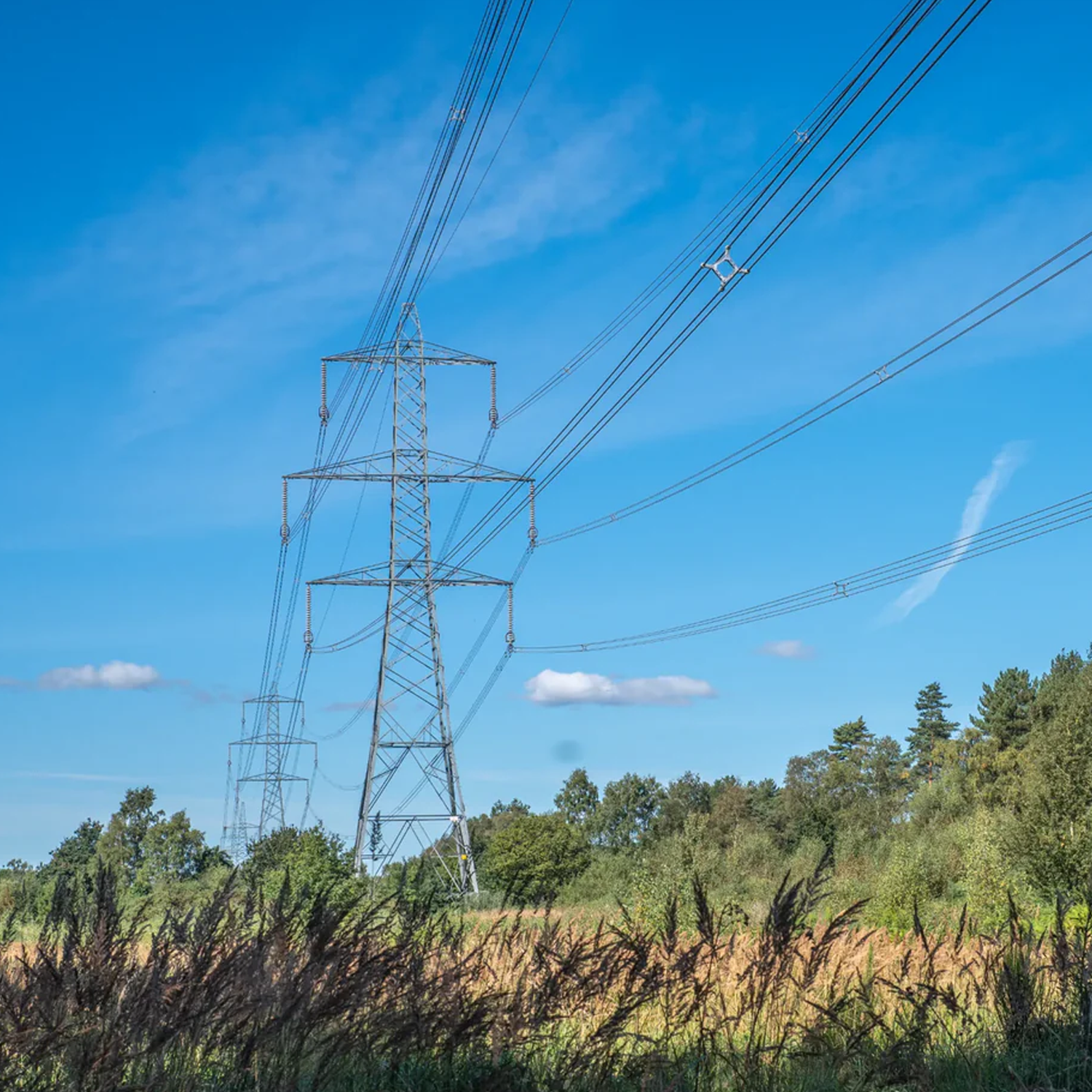 EUSR SHEA Power Training Course | Get Your Card Online | Four Storey ...